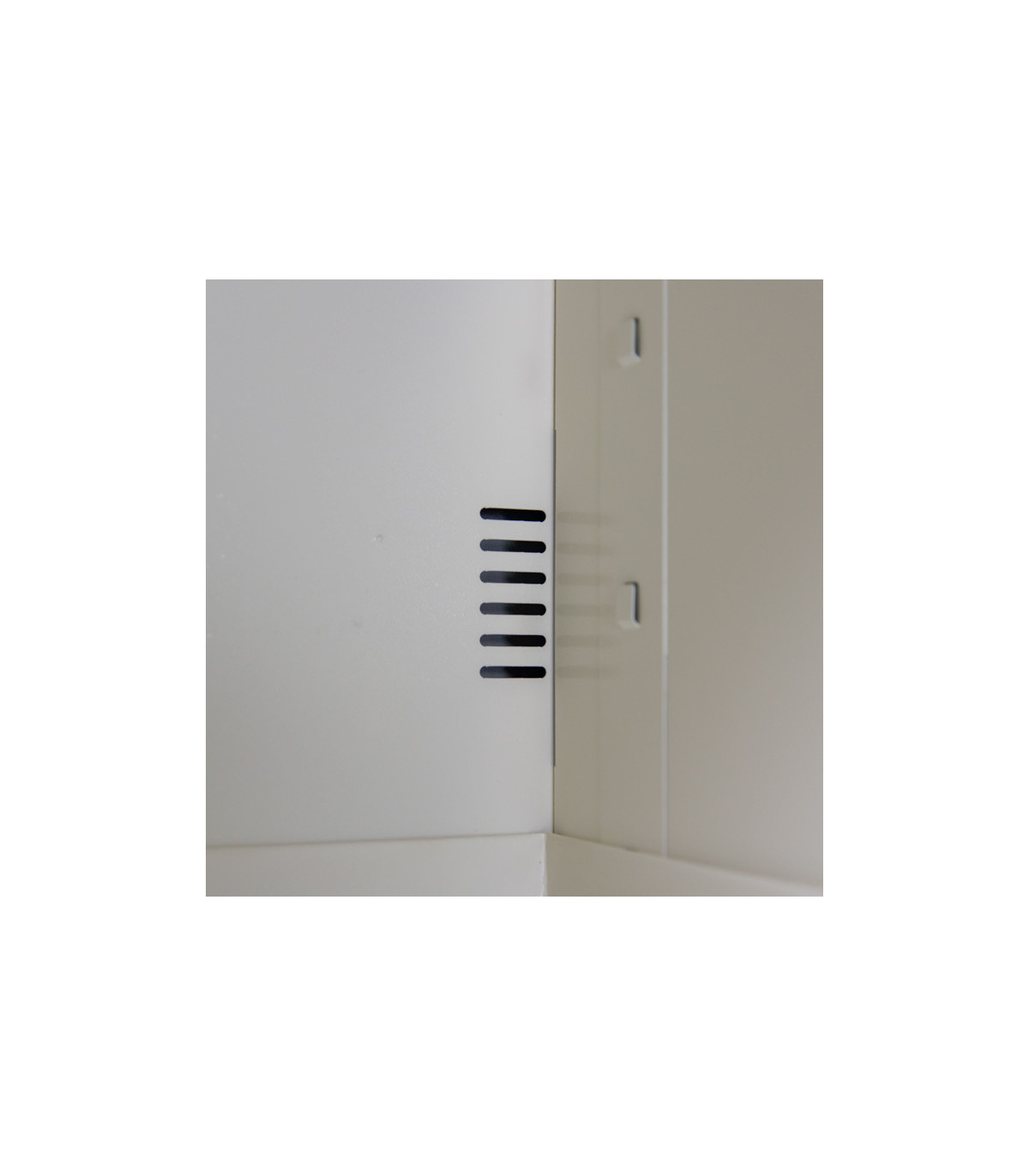High multi-risk cabinet 2 steel doors with 4 compartments 220 L ECOSAFE